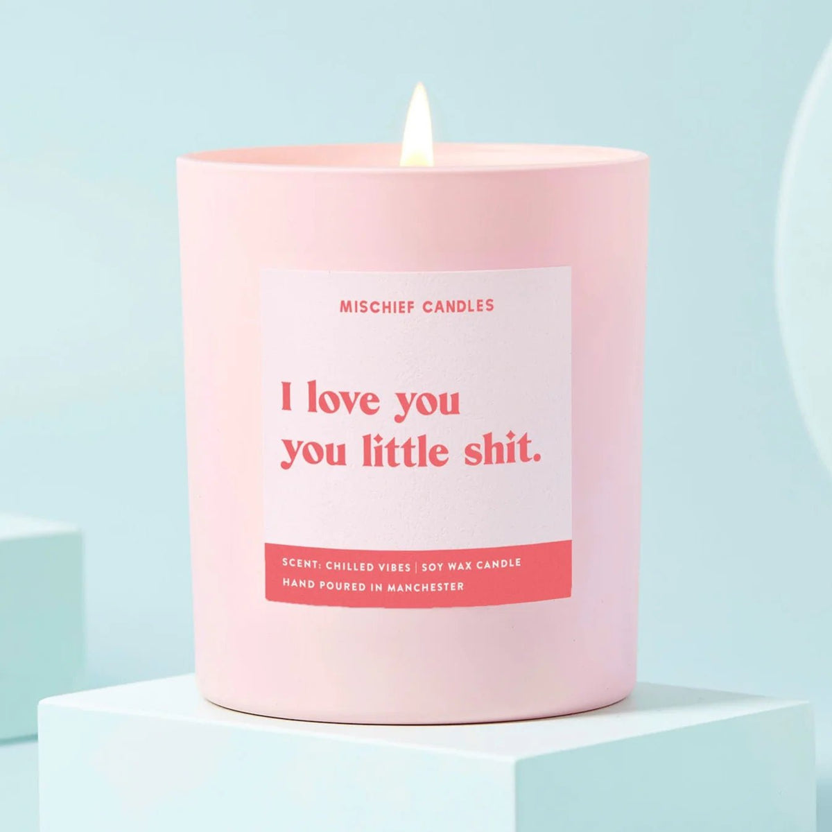 Girlfriend Boyfriend Gift Love You Little Shit Funny Candle - Spoiled ...
